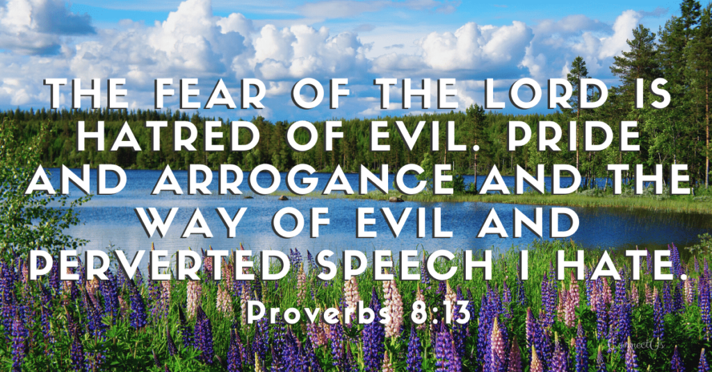 70 Most Important Bible Scriptures on Pride – ConnectUS