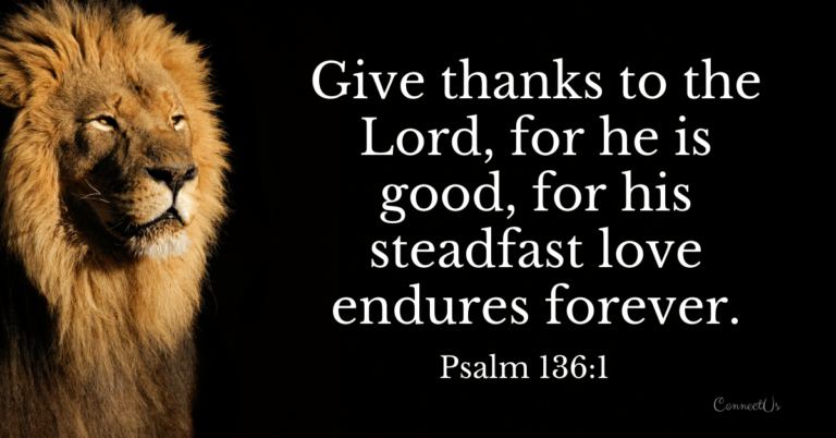 50 Powerful Bible Scriptures on Gratitude – ConnectUS