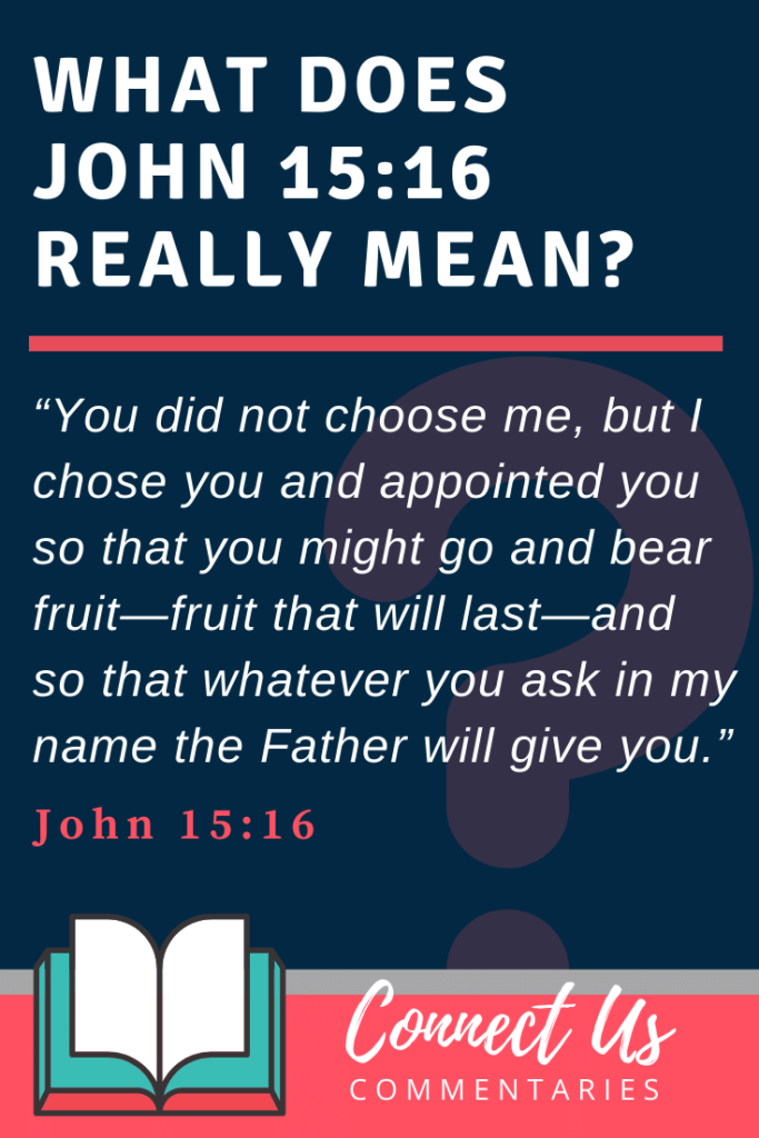John 15:16 Meaning of You Did Not Choose Me, but I Chose You – ConnectUS
