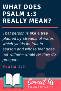 Psalm 1:3 Meaning of Tree Planted by Streams of Water – ConnectUS