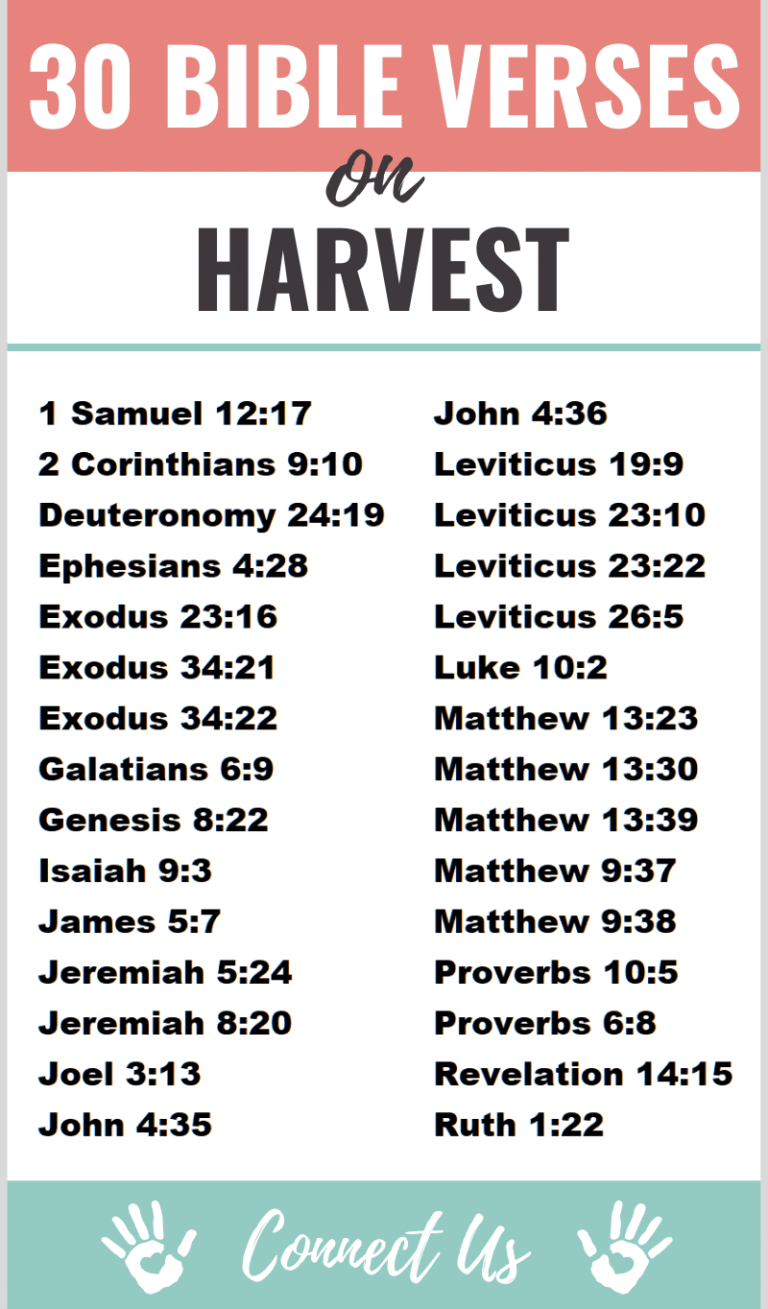 30 Uplifting Bible Scriptures on Harvest – ConnectUS