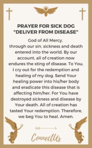 15 Powerful Prayers for Sick Dog – ConnectUS