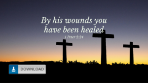 Free Online Bible Study on 1 & 2 Peter – ConnectUS