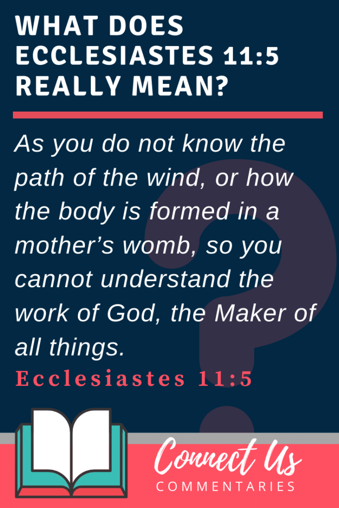 Ecclesiastes 11 5 Meaning Of Path Of The Wind ConnectUS