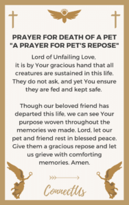 10 Uplifting Prayers for Death of a Pet – ConnectUS