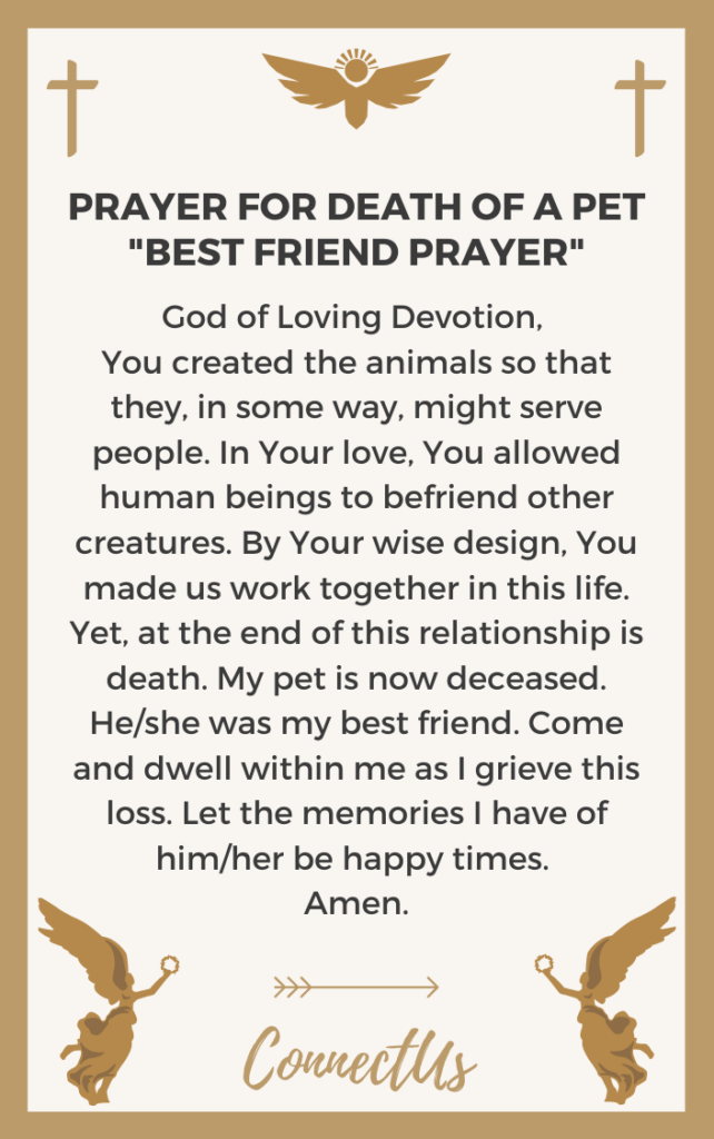 10 Uplifting Prayers for Death of a Pet – ConnectUS