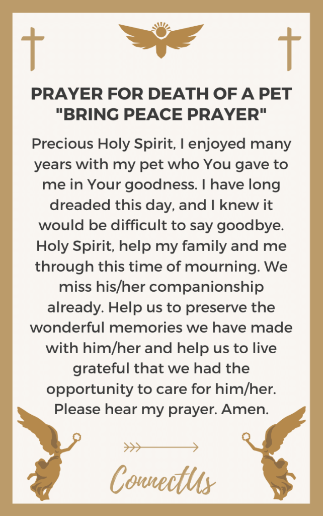 10 Uplifting Prayers for Death of a Pet – ConnectUS