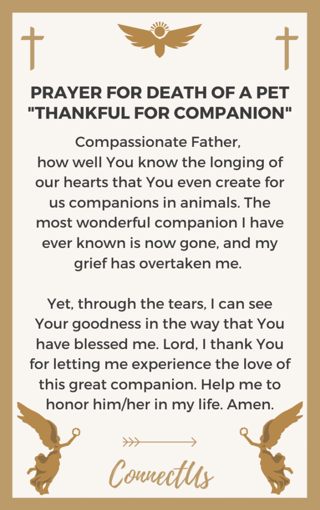 10 Uplifting Prayers for Death of a Pet – ConnectUS