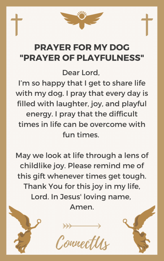 10 Powerful Prayers for My Dog – ConnectUS