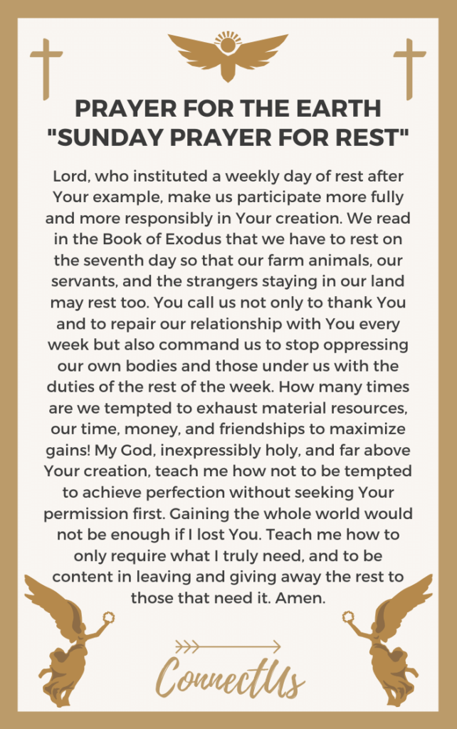 16 Powerful Prayers for the Earth – ConnectUS